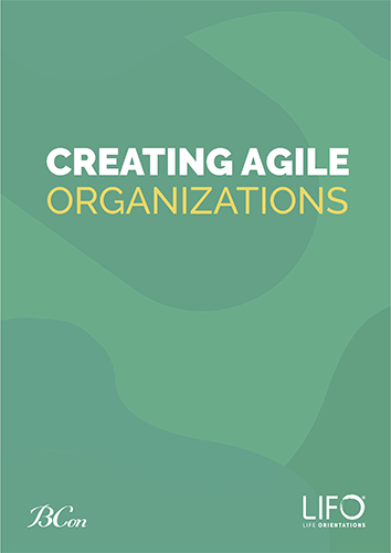 Creating Agile Organizations